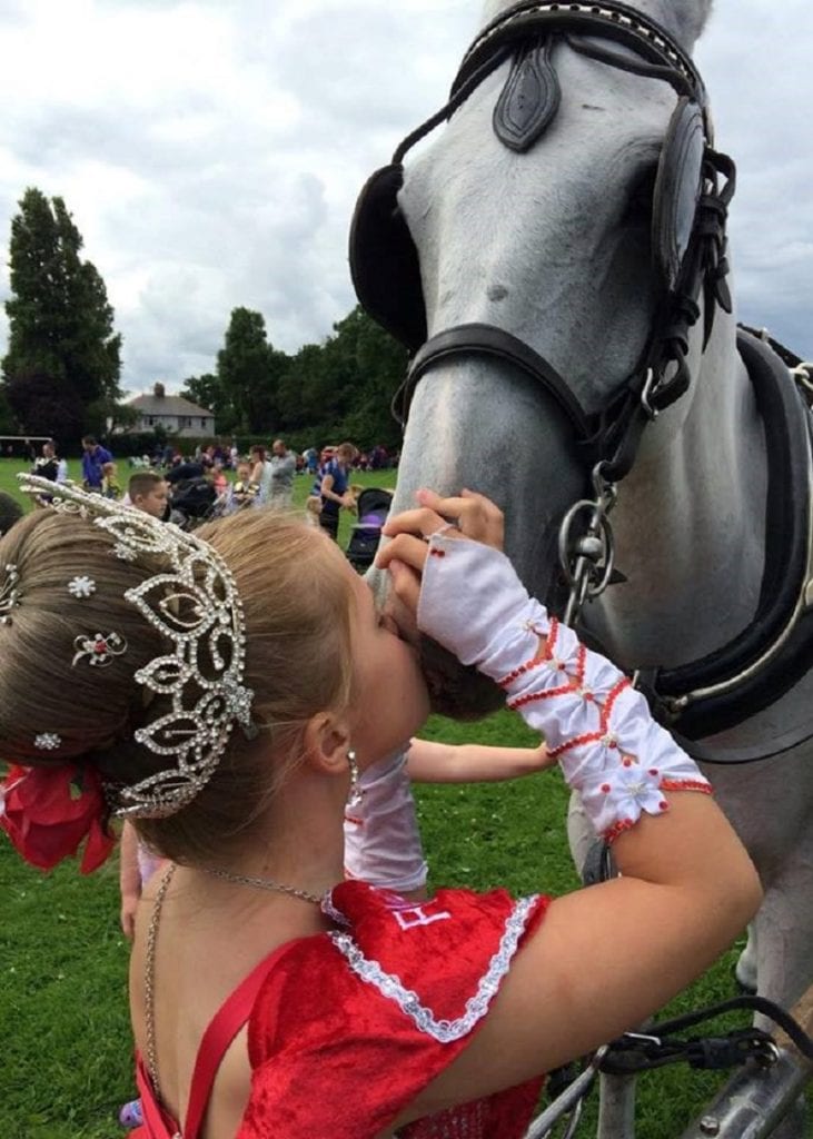 Horse and Carriage for your Prom - Horse & Carriage Hire - The Ostler