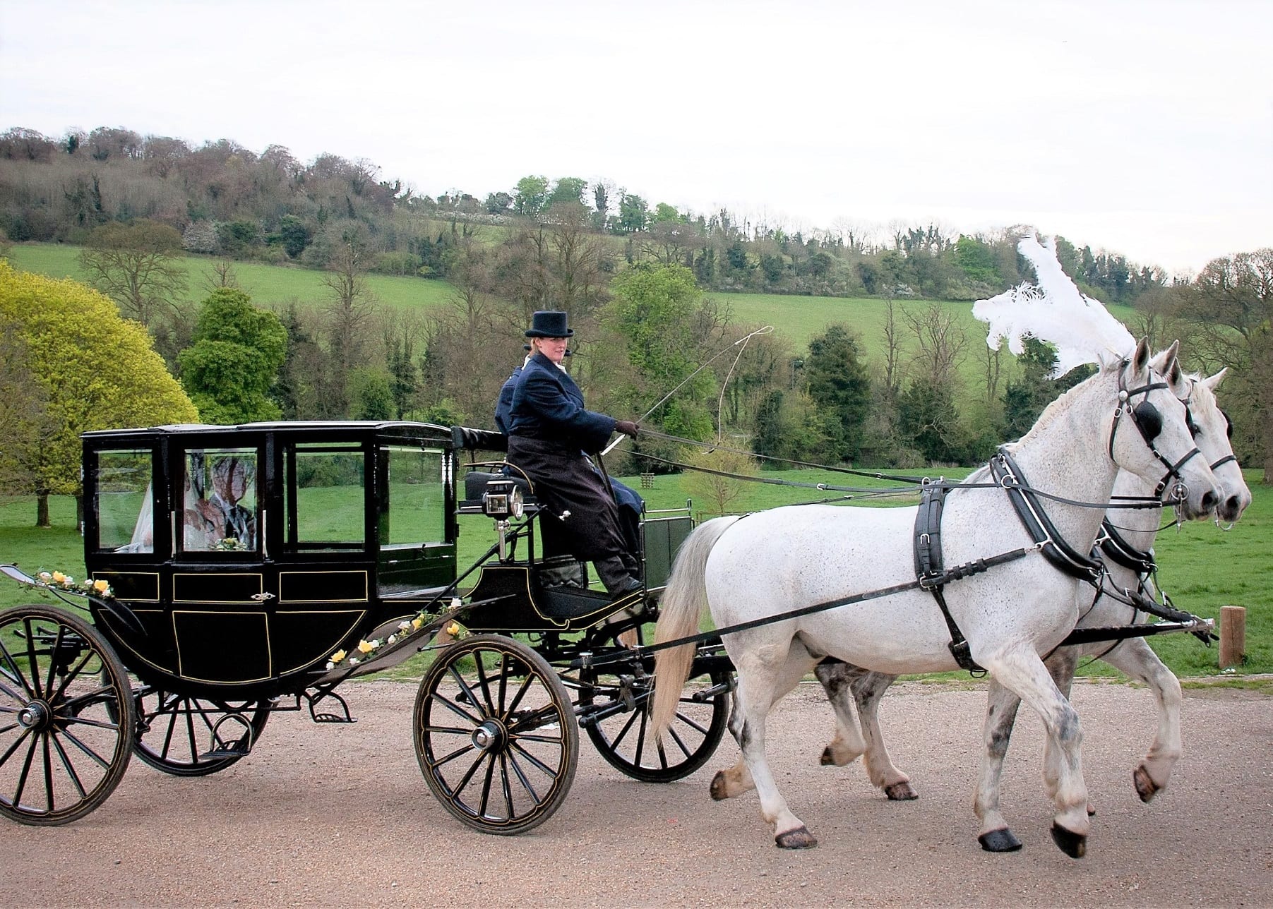 Wedding horse carriage 60 photos - Astyledwedding.com